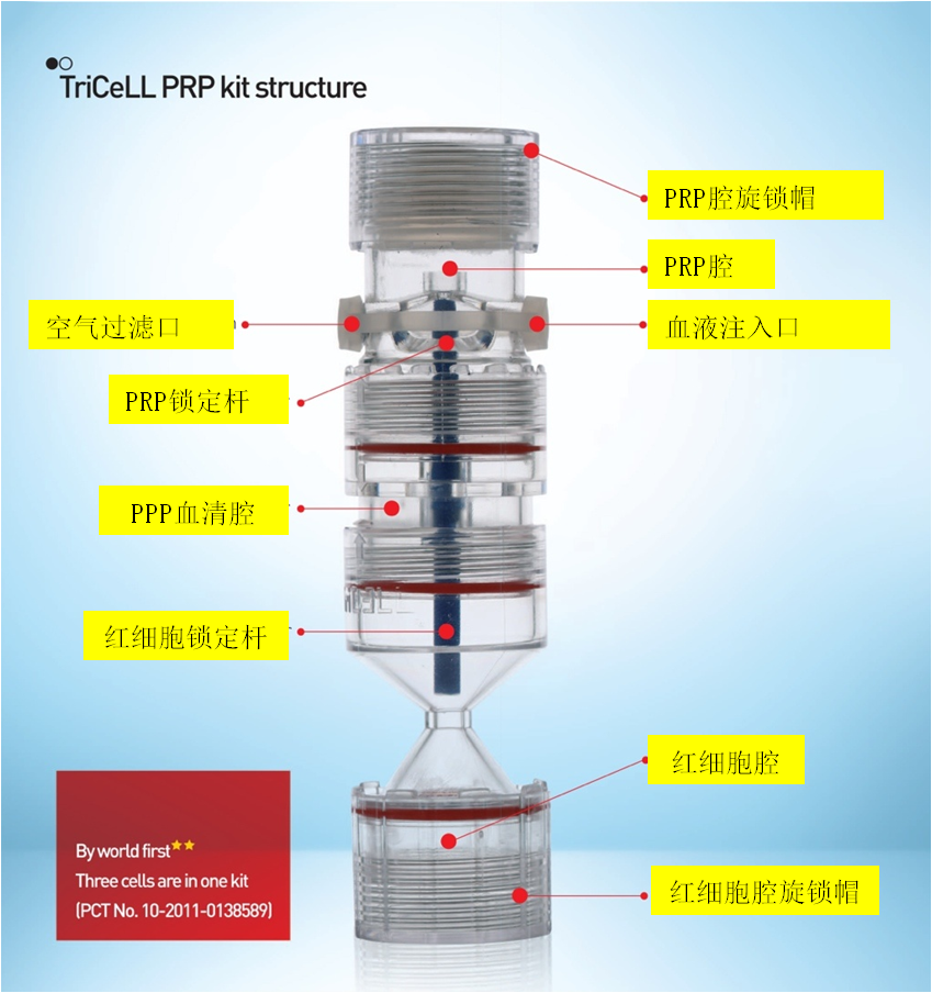 PRP的有效提取与医美应用_h5_人人秀H5_rrx.cn